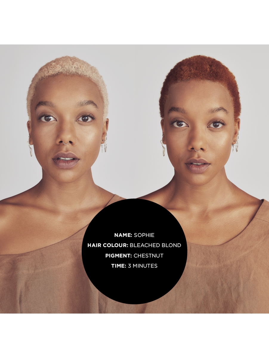 Chestnut – Mr. Smith Hair US